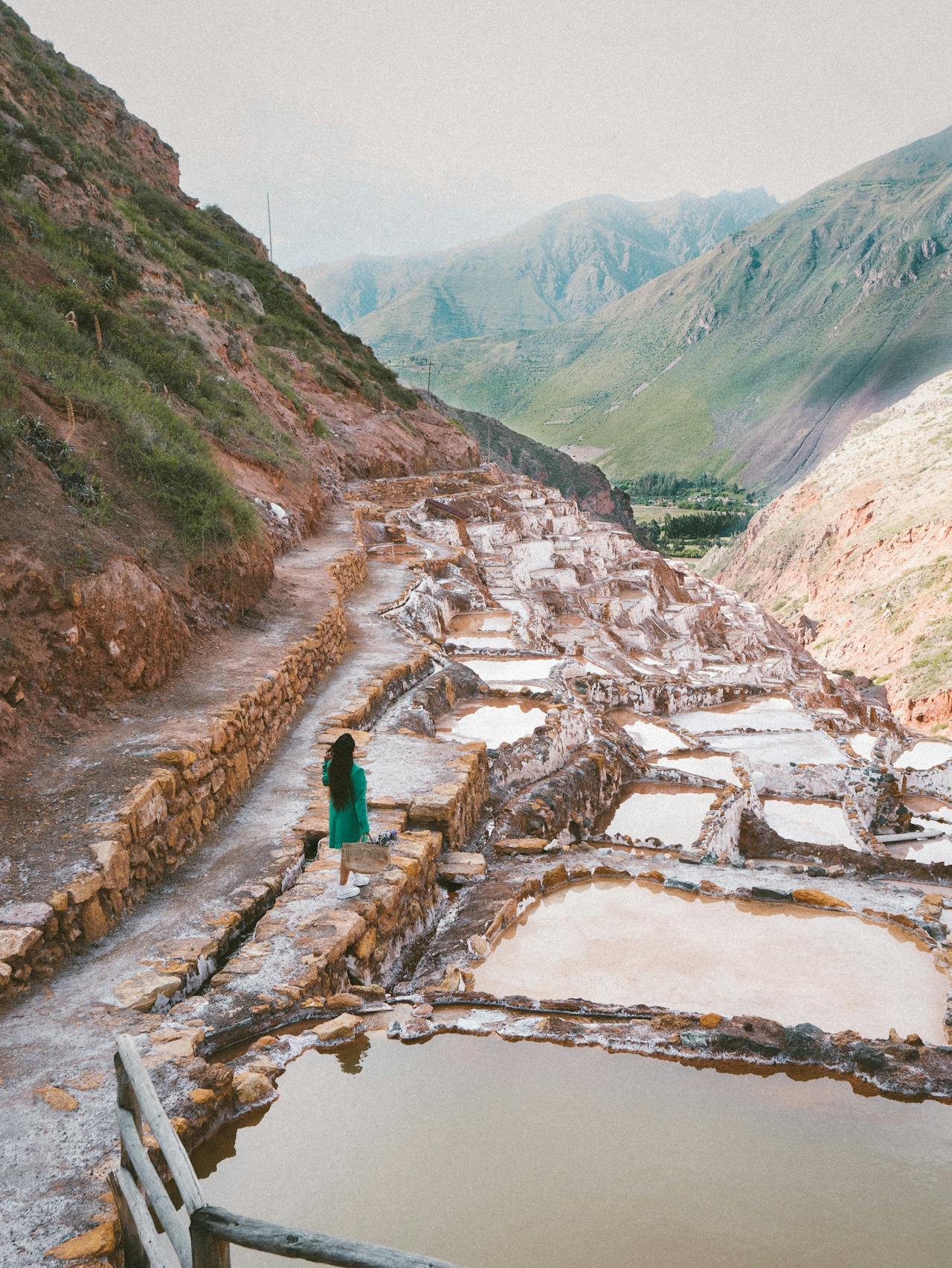 Cusco to Sacred Valley And Maras - Moray - United Mice Peru
