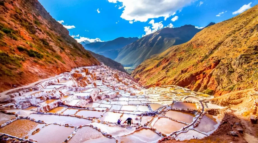 Cusco to Sacred Valley And Maras - Moray - United Mice Peru